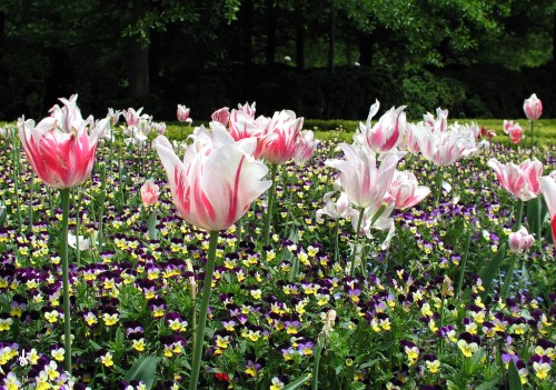 20 Reasons To Live In Virginia