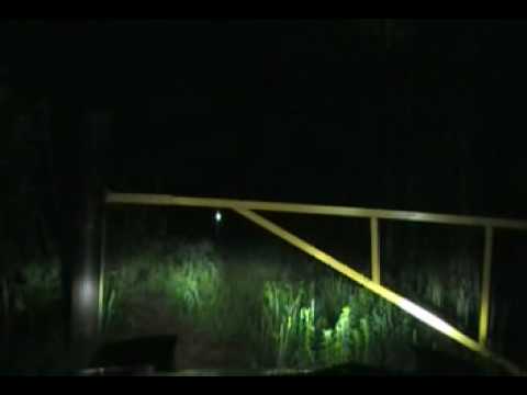 10 Chilling Urban Legends In North Carolina That Are Sure To Frighten