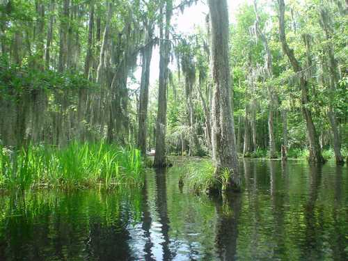 Explore the Most Scenic Places in Louisiana