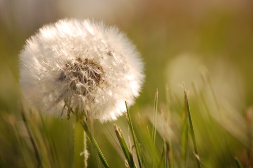 13 Extremely Weird Laws In Colorado That Will Make You Laugh