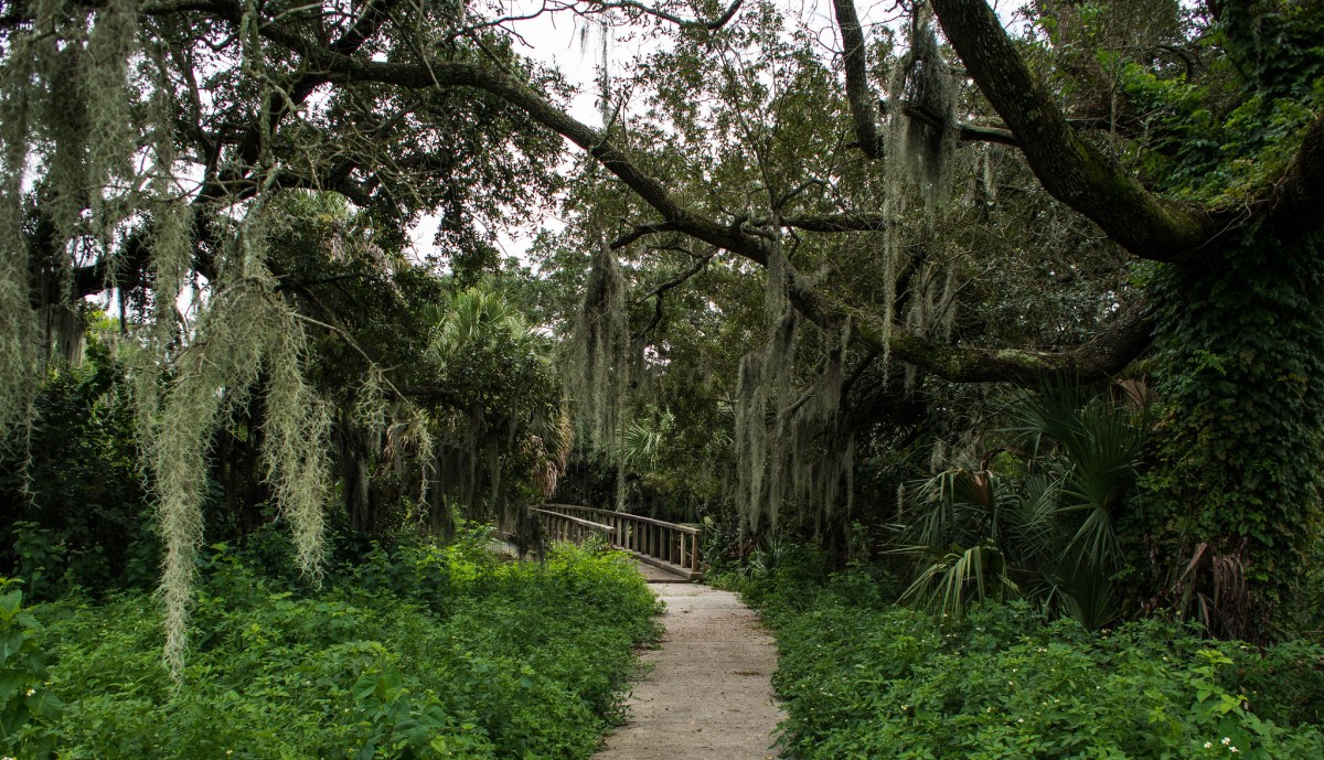 Explore the Most Scenic Places in Louisiana