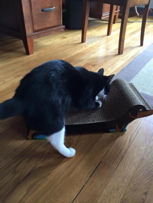 Check Out These 7 Interesting Arkansas Inventions