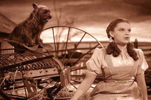 Here Are 10 Famous People From Minnesota: Did You Know Their Roots?