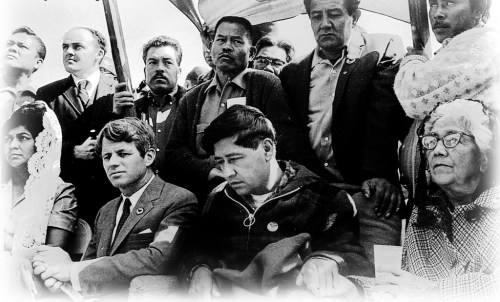 These Famous People From Arizona Have Made Us Proud