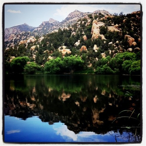 20 Beautiful Lakes In Arizona Perfect for Fishing and Boating