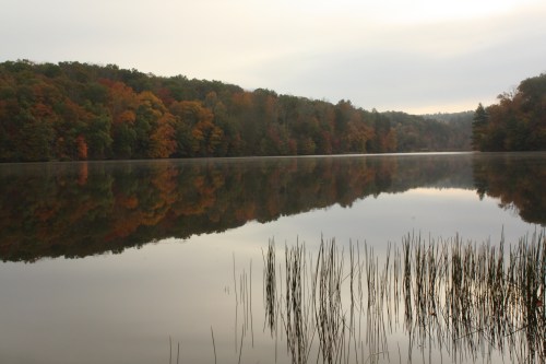 17 Of The Best State Parks In Virginia You'll Love To Visit