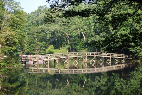 17 Of The Best State Parks In Virginia You'll Love To Visit