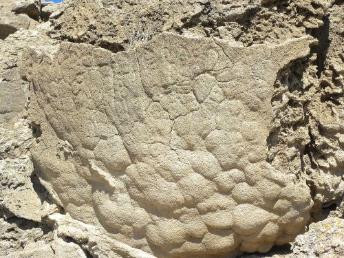 13 Attractions In Nevada That Can't Be Found Anywhere Else