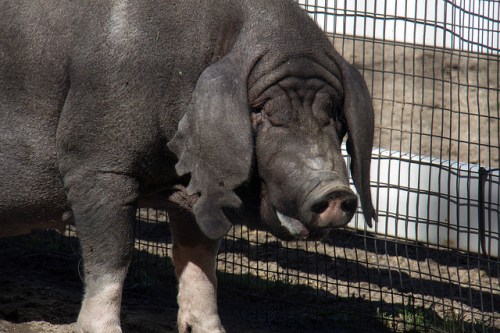 Weird Laws in Michigan That Will Leave You Shaking Your Head