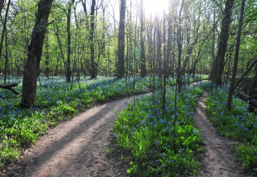 Stunning Photos of Virginia's Most Beautiful Places
