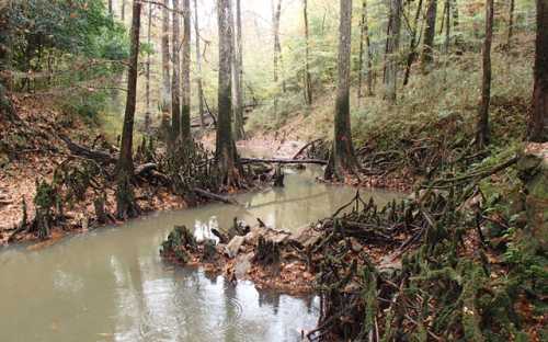 Most People Don't Know About These 8 Hidden Gems In Mississippi