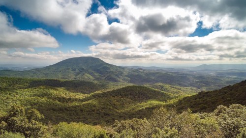 Here Are 10 Of The Best Small Towns In Virginia Filled With Charm