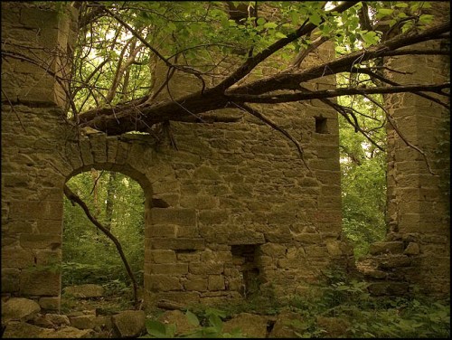 17 Photos of Abandoned Places in Missouri Nature is Reclaiming
