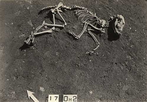 8 Archaeologist Discoveries And Artifacts Found In Kentucky
