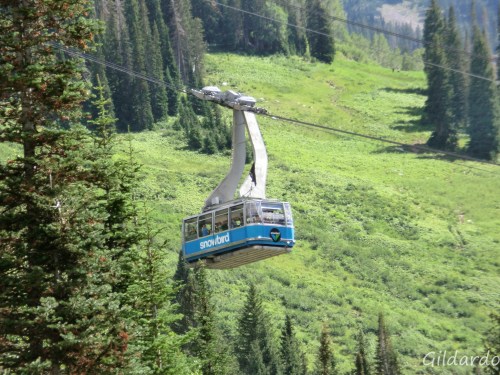 Fun Day Trips In Utah That Are Absolute Must-Dos