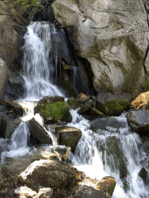 These 20 Waterfalls Near Me In Utah Will Take Your Breath Away
