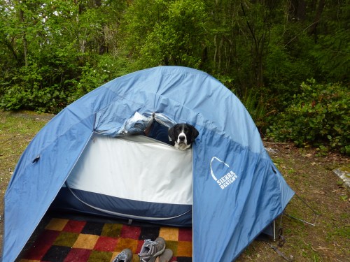 Best Camping Spots In Washington State