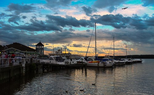 16 Of The Best Places To Take Pictures in Virginia