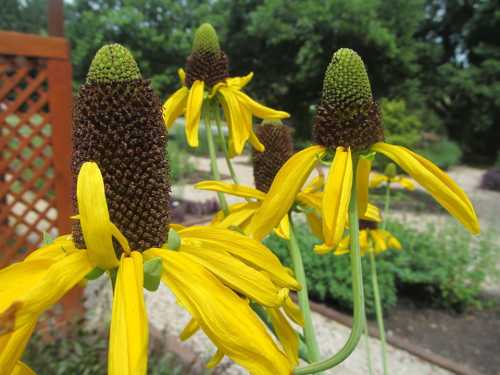 13 Beautiful Gardens In South Carolina That Are Picture-Perfect