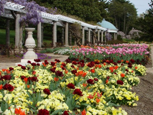 Gardens In Virginia: Visit One Of These 13 Beautiful Landscapes