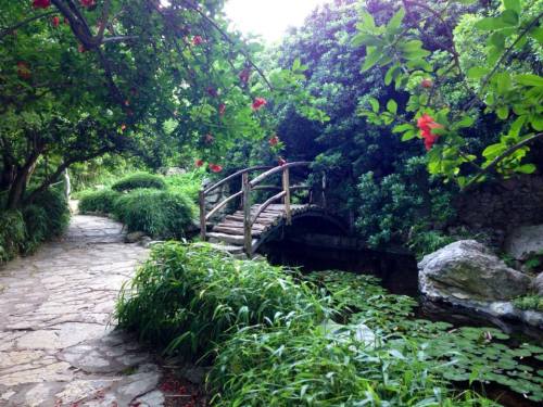 Gardens In Texas: See 10 of the Most Beautiful Green Spaces
