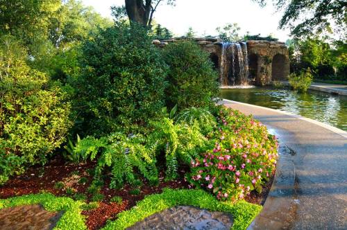 Gardens In Texas: See 10 of the Most Beautiful Green Spaces