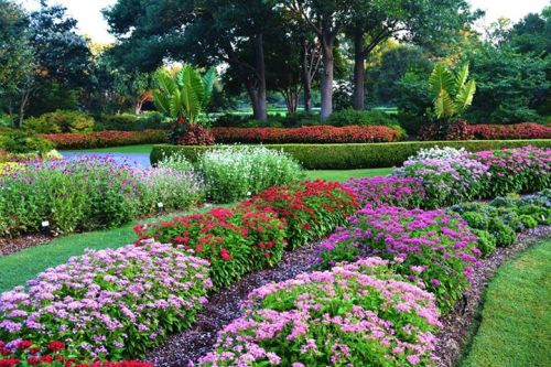 Gardens In Texas: See 10 of the Most Beautiful Green Spaces