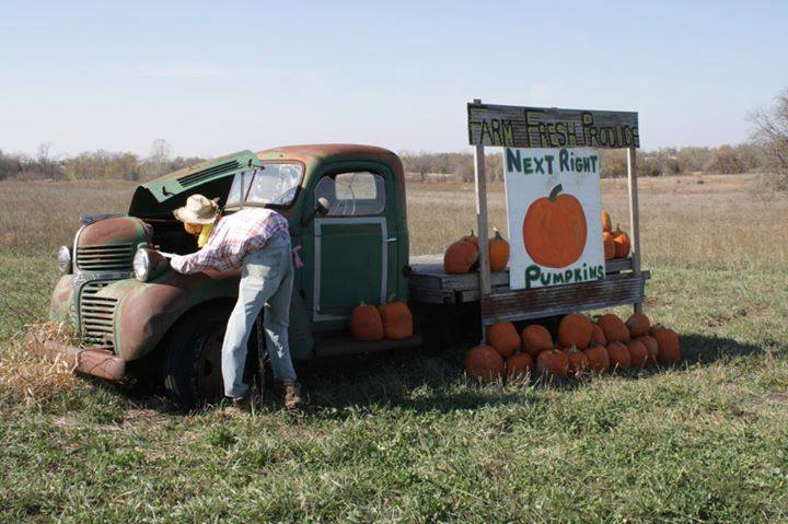 9 Of The Best Pumpkin Patches In Kansas This Fall