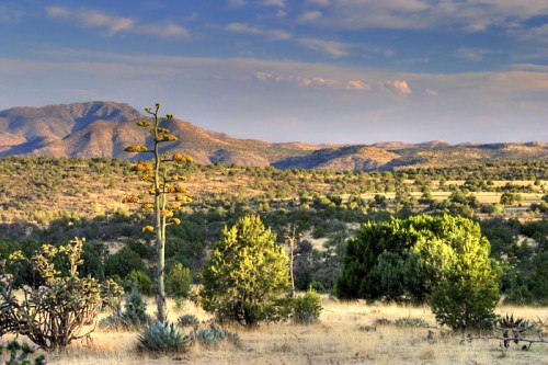 10 Beautiful Texas Towns With Breathtaking Scenery