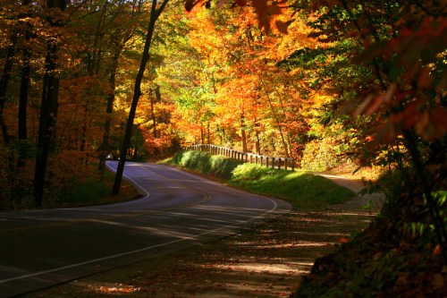 Top 13 Scenic Drives in Ohio for a Perfect Road Trip