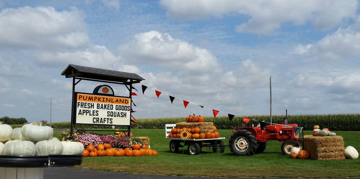Don’t Miss These 8 Best Pumpkin Patches In Iowa This Fall