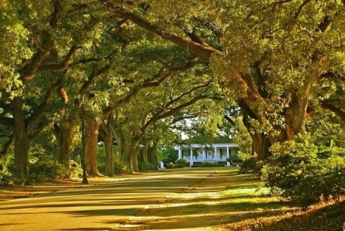 Here Are The Top 10 Best Scenic Drives In Alabama