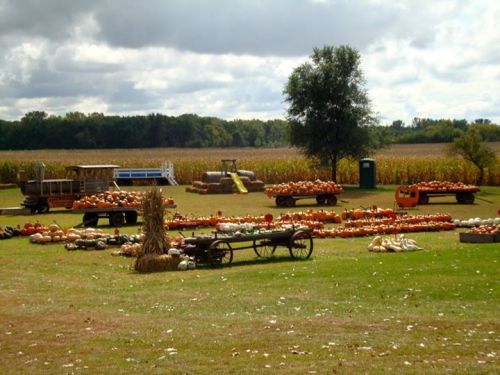 Don’t Miss These 8 Best Pumpkin Patches In Iowa This Fall