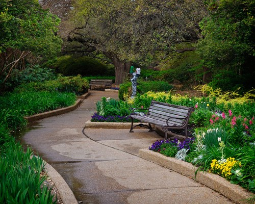 Gardens In Texas: See 10 of the Most Beautiful Green Spaces