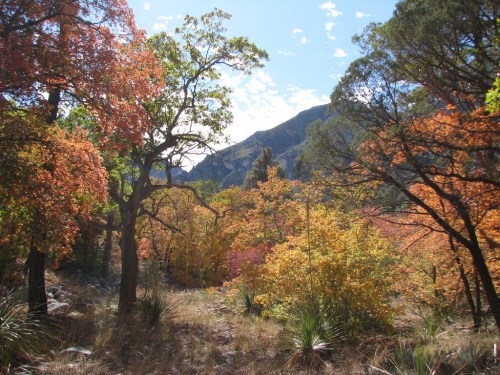 10 Beautiful Texas Towns With Breathtaking Scenery