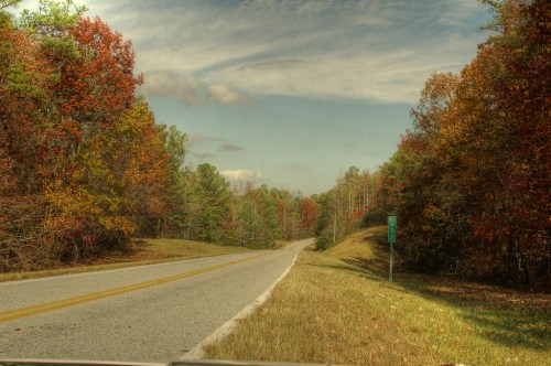 Here Are The Top 10 Best Scenic Drives In Alabama
