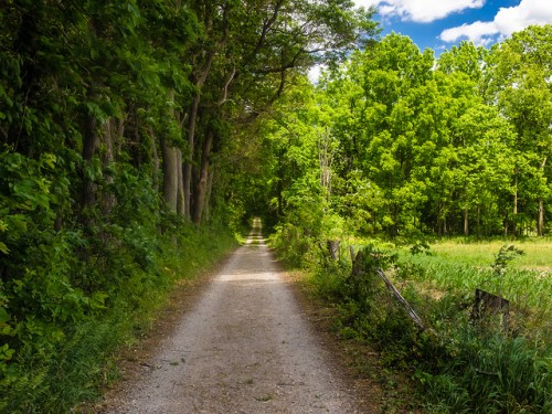 Discover the Best Scenic Drives in Indiana