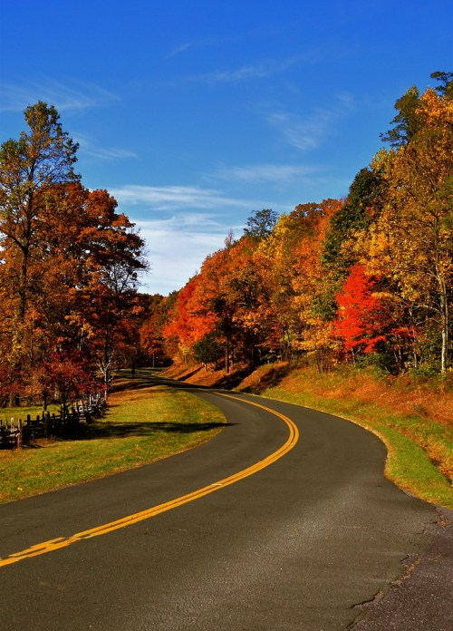 Discover 19 Scenic Drives in Virginia for Unforgettable Road Trips