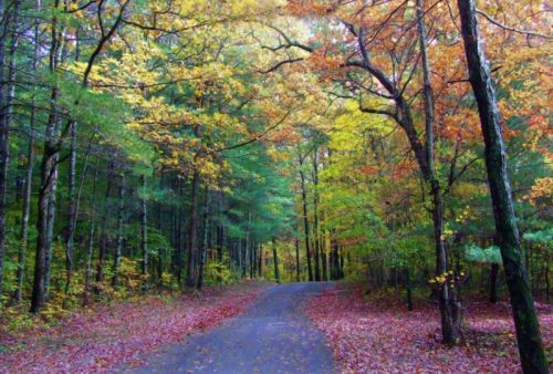 Top 10 Scenic Backroads Near Knoxville, TN