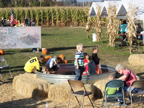 5 Awesome Corn Mazes In Oregon You Have To Do This Fall