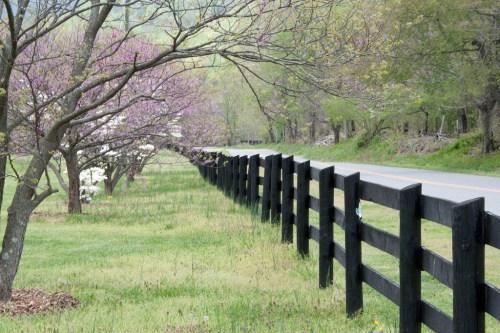 Discover 19 Scenic Drives in Virginia for Unforgettable Road Trips