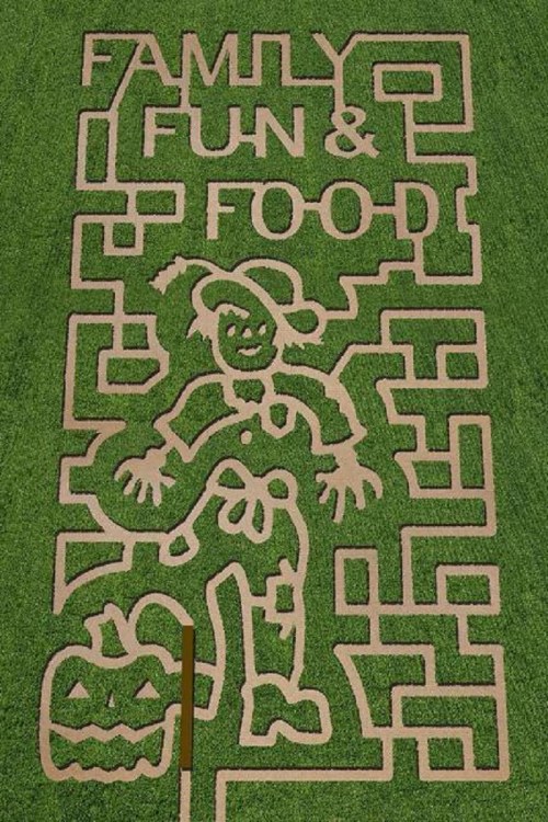 14 Reasons Why Fall Is The Best Time Of The Year In Nevada