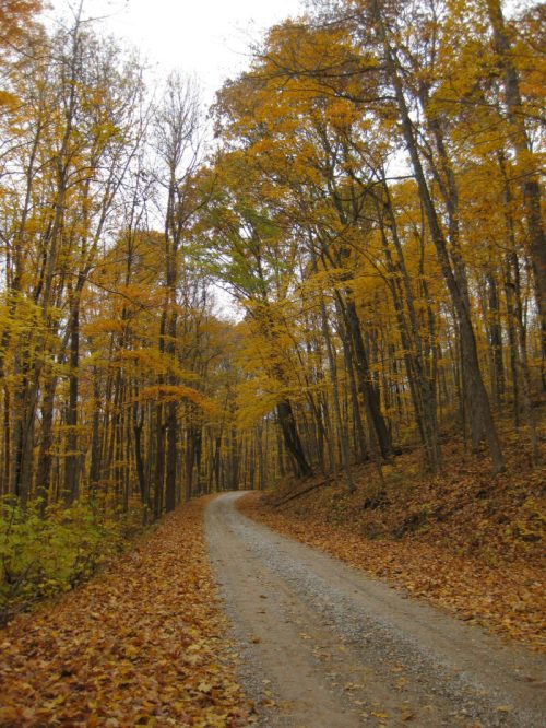 Top 10 Scenic Backroads Near Knoxville, TN