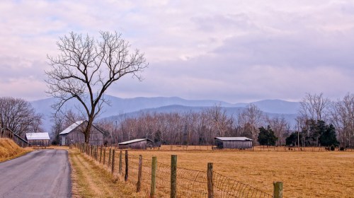 Discover 19 Scenic Drives in Virginia for Unforgettable Road Trips