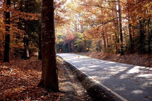 Discover 19 Scenic Drives in Virginia for Unforgettable Road Trips