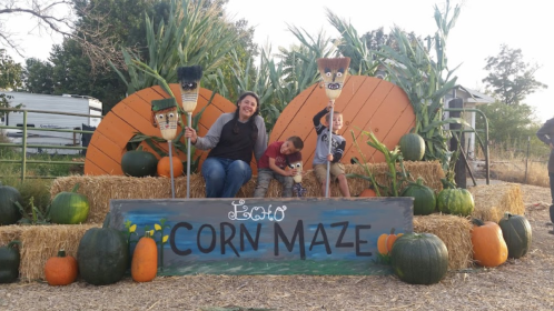 5 Awesome Corn Mazes In Oregon You Have To Do This Fall
