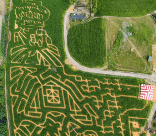 5 Awesome Corn Mazes In Oregon You Have To Do This Fall