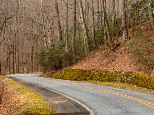 Discover 19 Scenic Drives in Virginia for Unforgettable Road Trips