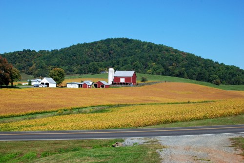 Discover 19 Scenic Drives in Virginia for Unforgettable Road Trips
