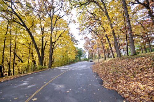 Top 10 Scenic Country Roads in Iowa for a Picturesque Drive